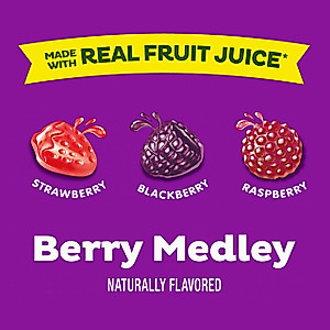 Bundle of Black Forest Juicy Burst Fruit Snacks - Mixed Fruit + Berry Medley, 0.8 Ounce Pouches (40 Count per Box)
