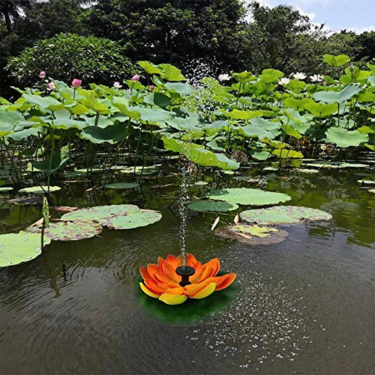 n/a Solar Lotus Fountain Lotus Flower Fountain Fountain Water Pump ...