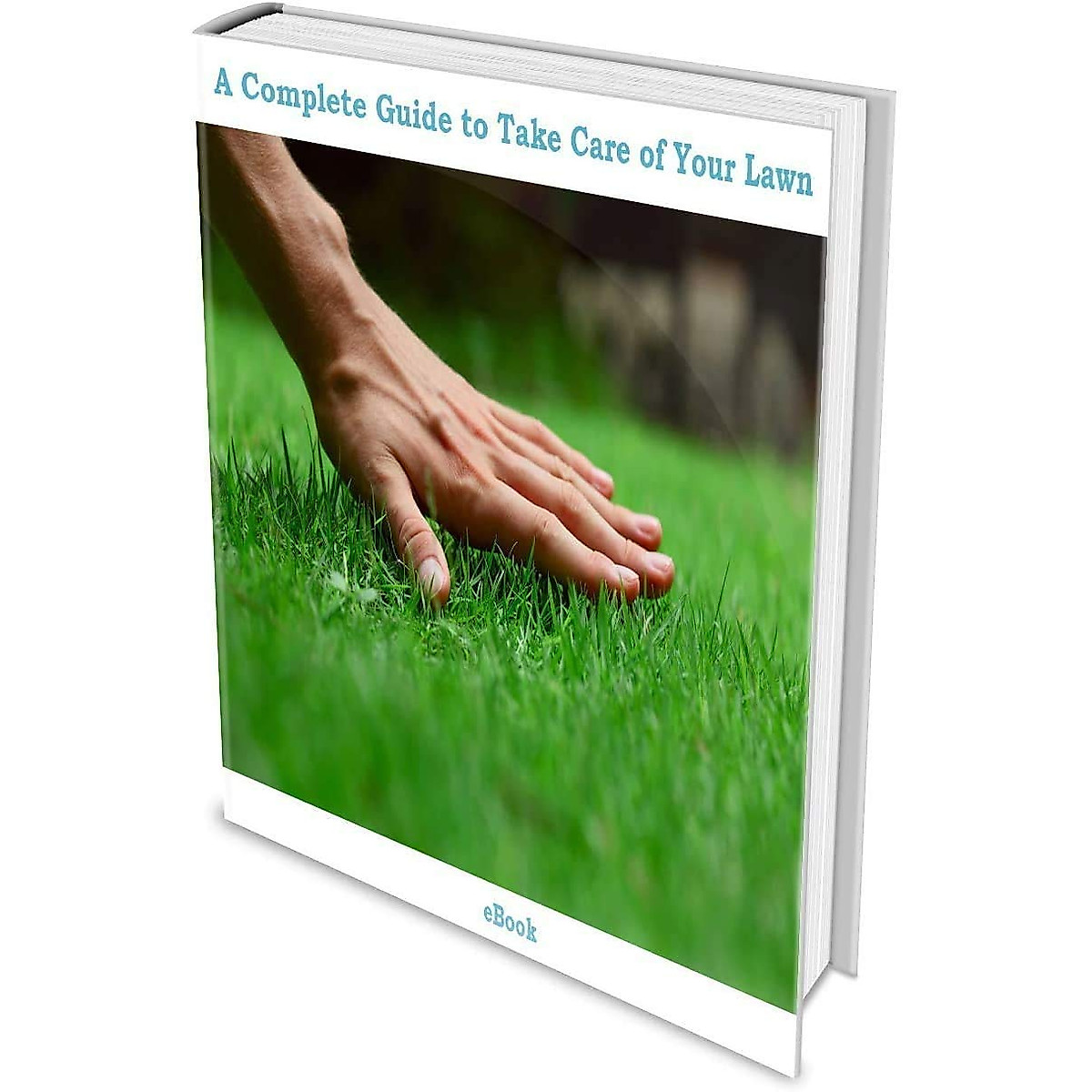 RINGMASH (New (2) Replacement Bad Boy Mower Transaxle Insert Hydraulic Filters 063 1070 00 + Free Useful Ebook