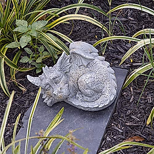 Besti Decorative Outdoor Dragon Garden Statue - Cold Cast Ceramic Statue | Lawn and Yard Decoration | Weather-Resistant Finish