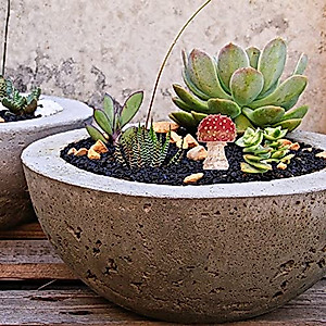 SHERCHPRY 15 pcs Fish Tank Ornaments Mini containers Resin Container Fluorescence Decorate Props Decorations Bonsai Figurines Decor Sculptures Home Decor Statue Flowerpot Mushroom Statuette