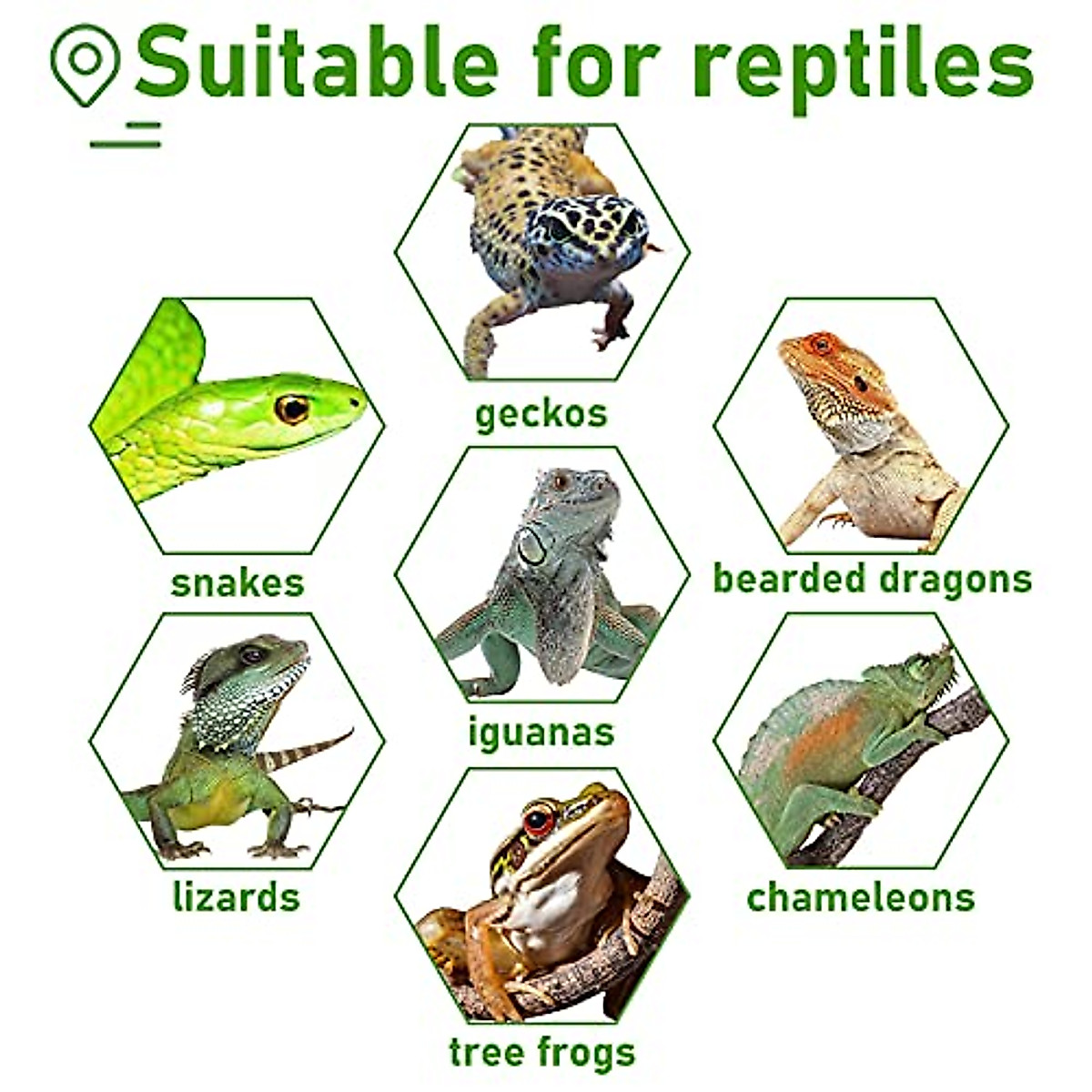 Hamiledyi Bearded Dragon Tank Accessories Lizard Hammock Adjustable Leash Bat Wings Reptile Plants Hanging Fake Vines Tank Habitat Decor for Climbing Chameleon Lizards Gecko Snakes