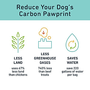 Jiminy's Original Cricket Cookie Dog Treat Bundle, Peanut Butter & Pumpkin (5oz) & Peanut Butter & Blueberry (5oz)