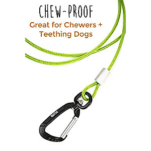 Mighty Paw Chew Proof Dog Leash - Six Foot Metal Cable Lead, Non Chewable Braided Cord with Padded Handle. Chew Resistant, Great for Large Dogs and Teething Puppies (Green)