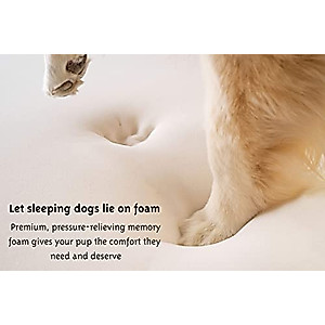 PAW Brands Puprug Faux Fur Memory Foam Orthopedic Dog Bed, Premium Memory Foam Base, Ultra-Soft Faux Fur Cover, Modern and Attractive Design (Large/Extra Large - 50" L X 30" W, White Curve)
