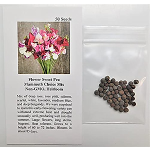 David's Garden Seeds Flower Sweet Pea Mammoth Choice Mix FBA-1488 (Multi) 50 Non-GMO, Heirloom Seeds