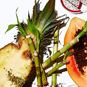 Youth To The People Yerba Mate Resurfacing Energy Facial (2 fl oz), Microdermabrasion Face Scrub, Smooths Skin Texture, Active Enzymes, Sustainable Micro-Exfoliants, Caffeine, Vegan