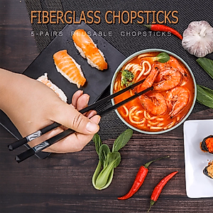 HuaLan Fiberglass Chopsticks Set, Dishwasher Safe Chopsticks, Non-slip Design Chop Sticks, Reusable Japanese Style Chopstick, 9 1/2 Inches 5 Pairs, Silver, Gift Set