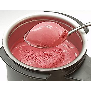 Pacojet junior orange ice cream food processor 16005