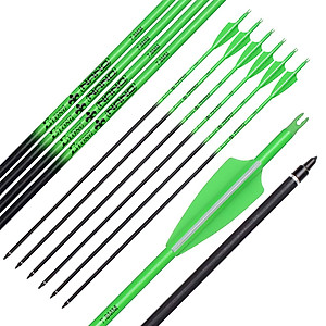 ELONG 12PCS 28" Arrows for Compound Bows,Carbon Hunting Arrows for Archery Spine 500 with 100 Grain Screw Tips, for Compound & Recurve & Traditional Bow(with 6 Extra Nocks) Green