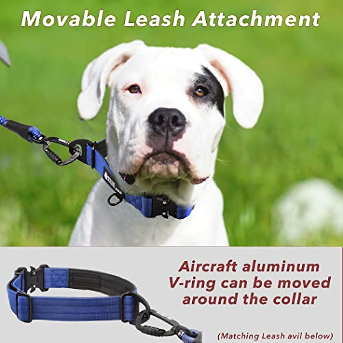 Ridge Ramblers Heavy Duty Dog Collars for Large Dogs. This Wide, Padded, Tactical Dog Collar has The Strength and Durability for Your Next Adventure. Perfect Large Dog Collars for Males or Females