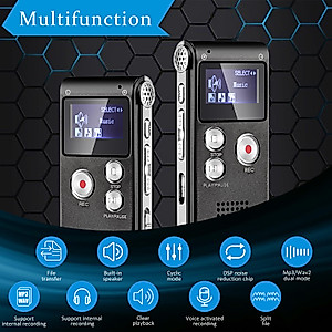 Dunzy 5 Pcs Ghost Hunting Kit Includes Digital Voice Recorders with 4 LED Cat Balls Motion Activated Cat Ball Toy Voice Activated Recorder with Playback for Pet Dog Animals(Black)