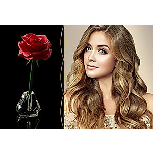 Pentrenz Rose Pen"Valeta" With Diamond Crystal Holder and 2 Ink Refills For Mom, Sister, Friend, Aunt, Grandma, Nurse, Teacher, Great for Home, Dr. Office or Wedding Decor