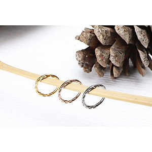 JINSAWW 16G Septum Hoop Segment Nose Rings Surgical Steel Helix Rook Conch Cartilage Nose Septum Seamless Hinged Clicker Ear Piercing Jewelry