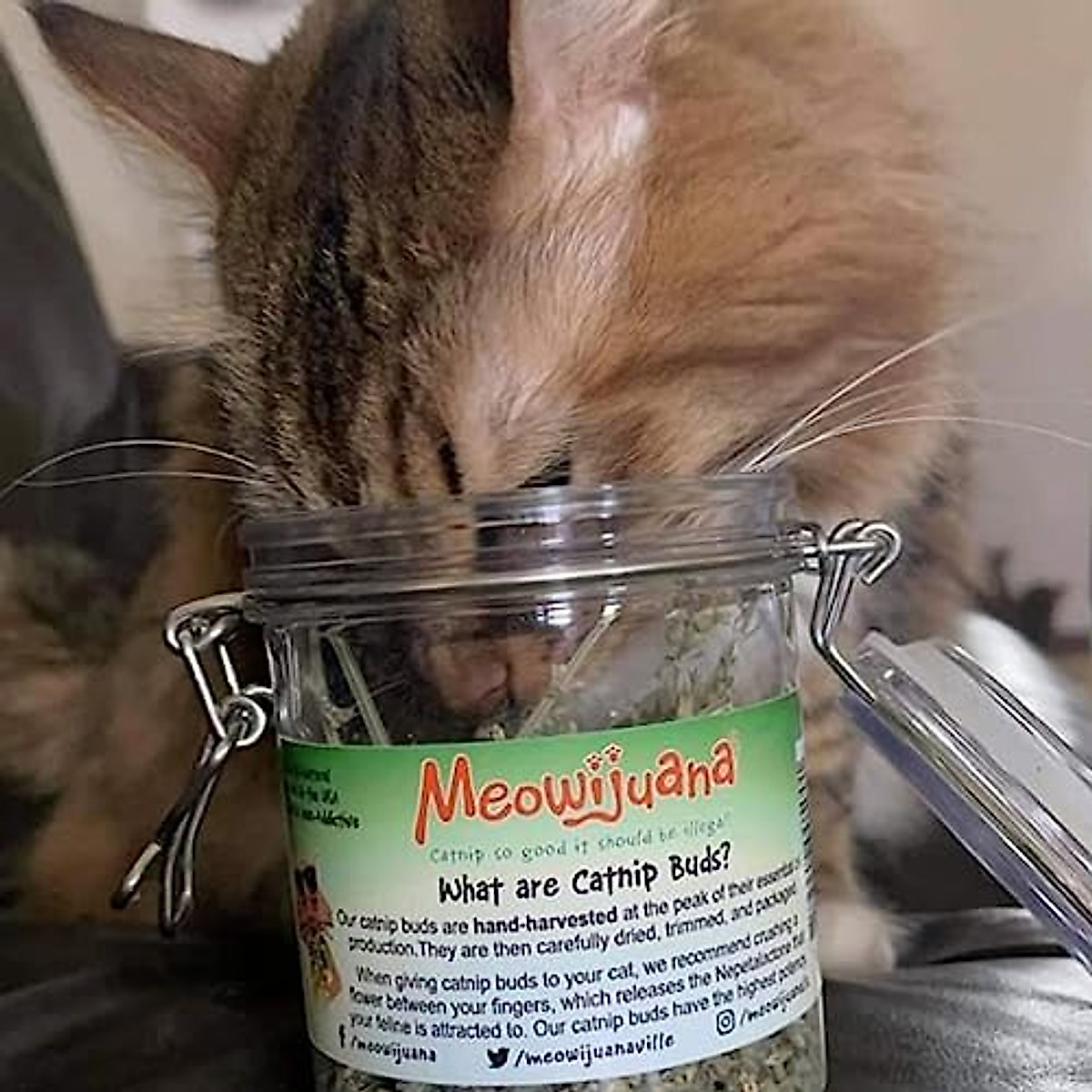 Meowijuana | Dried Premium Catnip Buds | Organic | High Potency Cat Treats | Perfect for Cat Toys | Grown In the USA | Feline and Cat Lover Approved