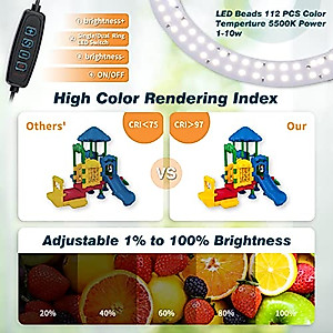 Photo Studio Box, PULUZ Mini Folding Lightbox LED Ring Light Portable Photo Studio Photography Shooting Tent Box Kit 6 Colors Backdrops USB Light Box for Phones DSLR Camera 12 x 12 inch