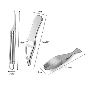 1 Set Stainless Steel Fish Scale Planer Kitchen Gear Razor Blade Scraper Tweezers Scale Scarping Peeler Fish Scale Tool Fish Descalers Fishbone Tweezer Fish Cleaning Tool Silver FELTECHELECTR