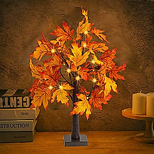 Dazzle Bright 24 Inch Lighted Thanksgiving Fall Maple Tree Decor, 24 LED Battery Operated Decorations Artificial Tree with Timer for Indoor Home Room Holiday Xmas Party