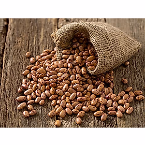 Pinto Bean Plant Seeds, 30+ Heirloom Seeds Per Packet, (Isla's Garden Seeds), Non GMO Seeds, 90% Germination Rate, Botanical Name: Phaseolus vulgaris