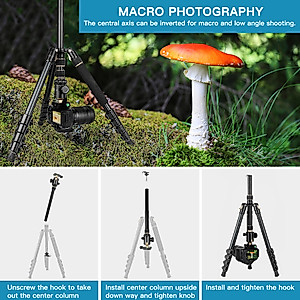 Tripod for Camera, Professional DSLR Tripod for Photography, Tall Camera Tripod Stand, Lightweight Heavy Duty Tripod for Spotting Scopes, Telescope and Binoculars, Compact Complete Tripod Units