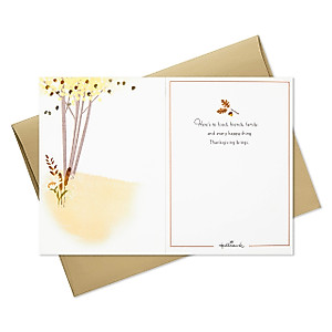 Hallmark Paper Wonder Displayable Pop Up Thanksgiving Card (Give Thanks)