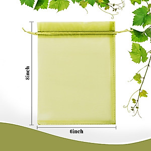 Sukh 50PCS Fruit Protection Bags - 6"x8" Fruit Cover for Fruit Tree Netting Fruit Nets to Protect Fruit Mesh Fruit Bags Organza Bags Green Net Bags for Fruits & Vegetables Reusable