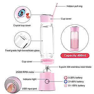 Taillansin【2019 Newest】Portable Blender, Multi-functional Travel Electric Juice Cup with USB Rechargeable Small Blender for Shakes and Smoothies, Stronger and Faster with Stainless Steel 6-Blades(FDA BPA free)