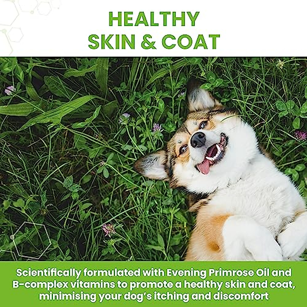 Vetzyme Dog Dry Skin with Evening Primrose