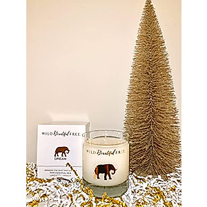 Lavender and Vanilla Organic Aromatherapy Candle with Pure Essential Oils for Stress Relief and Sleep - Dream Elephant Luxury Candle by Wild Beautiful Free