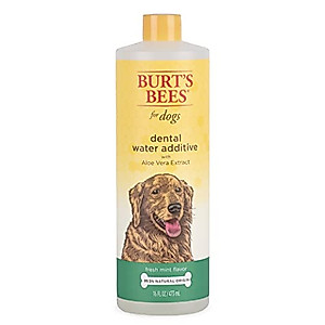 Burt's Bees for Pets Training Dog Dental Water Additive with Aloe Vera Extract, 16 fl Oz | Water Additive for Dogs in Fresh Mint Flavor | 97% Natural Dog Water Additive
