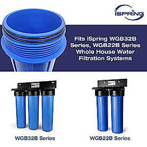 iSpring ORBX2 Replacement O-Ring for Whole House Water Filtration Systems Pack of 2, Black, 2 Piece