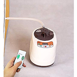 Smartmak Portable Sauna Steamer, 2L 900W Stainless Steel Generator, with Remote Control, Home Spa Machine for Body Detox (US Plug)