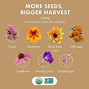 Vibrant Wildflower Garden Pod Kit (12-Pod) for LYKO/QYO/Yoocaa Hydroponics Growing System, 12-Pod Square with Growing Guide