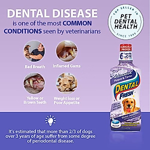 Dental Fresh Advanced Plaque and Tartar Water Additive, 17oz – Dog Teeth Cleaning Formula to Freshen Breath and Improve Overall Oral Health