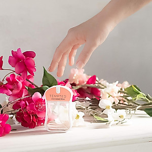 Mixologie Moisturizing Body Mist/Perfume Spray (Tempted (coconut kiss), 35 mL)