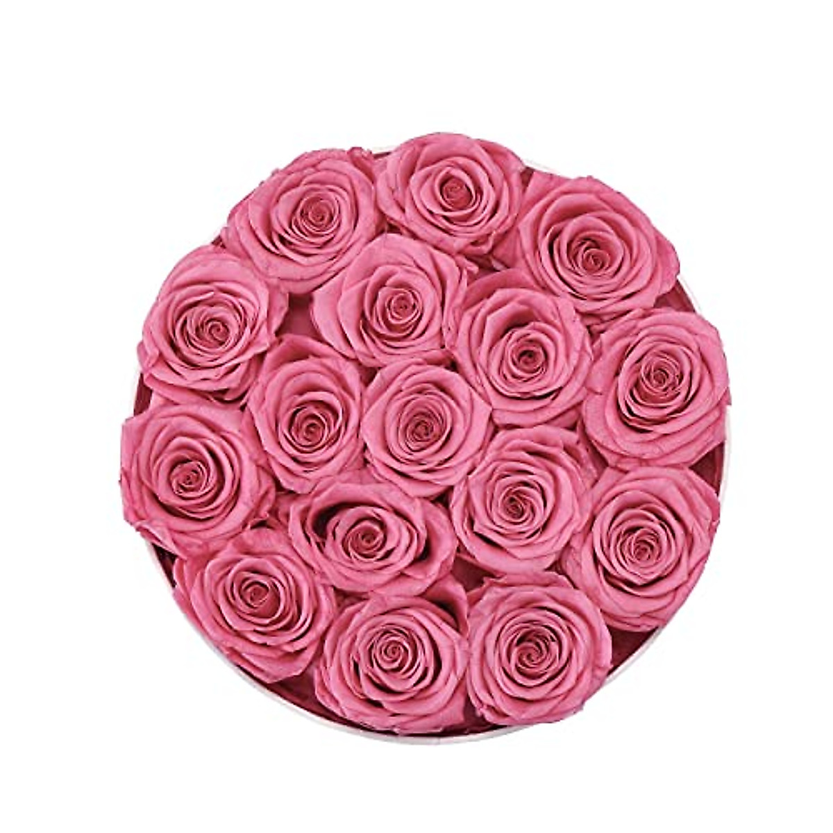 Eterfield Preserved Roses That Last a Year Eternal Rose in a Box Real Rose without Fragrance Gift for Her (Pink Rose, Round White Box)
