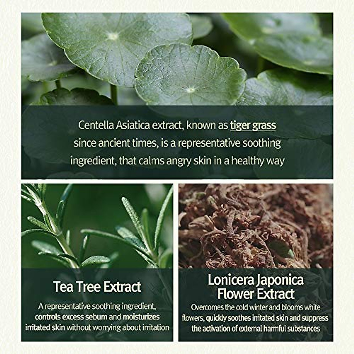 Pyunkang Yul Ceramide Calming Mask Pack 10 PCS - Korean Face Mask Skin Care Products - Beauty Face Mask Containing Panthenol, Hyaluronic Acid, Tea Tree, Shea Butter, Squalene and Cica - Korean Beauty