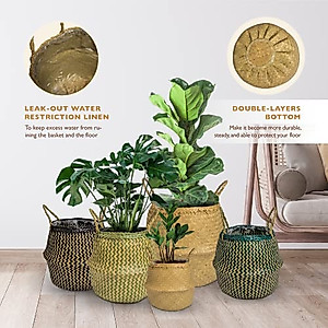 GAIAMADE Set of 2 Woven Seagrass Basket with Handles and Liner for Plant Pot, Belly Basket, Storage Basket, Wicker Baskets, Basket for Plant Baskets Indoor, Natural Seagrass Basket, Size ML