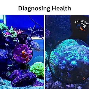 FL!PPER DeepSee Aquarium Magnifier Magnetic Viewer – Fish Tank Magnifying Glass – Magnetic Magnifying Glass Ideal for Photography – Flipper Fish Tank Accessories, 4"