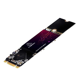 KingShark SSD M.2 2280 60GB Ngff Internal Solid State Drive High-Performance Hard Drive for Desktop Laptop SATA III 6Gb/s(60GB, M.2 2280)