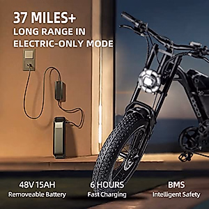 Riding'times Electric Bike for Adults, 20" Fat Tire Ebike, 750W Powerful Motor with Removable Battery, 30MPH & 37 Miles Long Range Off Road Snow Beach Mountain Electric Bicycle
