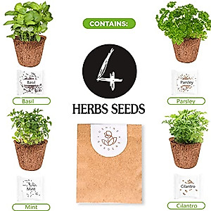 Indoor Herb Garden Starter Kit, Ushine 4 Herb Seeds Grow Kit Basil, Cilantro, Parsley, Mint, DIY Kitchen Plant Grow Kit for Growing Herb Seeds Perfect Gardening Gifts