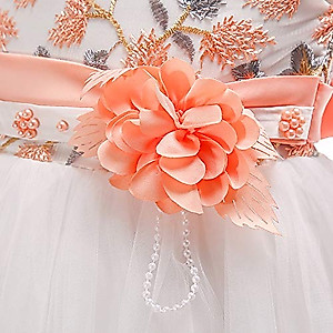 12 18 24 Months Formal Pageant Princess Easter Dresses for Girls Embroidery Sleeveless 2T Little Girl Elegant Spring Prom Lace Dresses 24M Orange