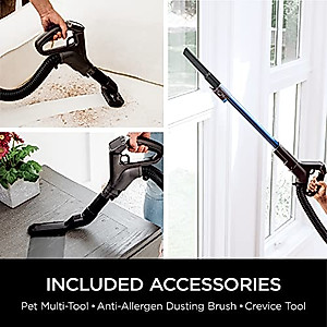 Shark Vertex Pro Powered Lift-Away Cordless Vacuum with IQ Display, DuoClean PowerFins, Includes Crevice Tool, Pet Multi-Tool & Anti-Allergen Dusting Brush, 60min Runtime, Electric Blue