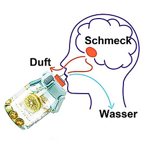 MUNCHIN Compatible with air up Flavor pods, Fruits Flavor Pods for air up Water Bottle, Compatible with air up pods, for Daily Exercise Boost Drinking Water,6pcs