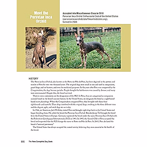 The New Complete Dog Book, 22nd Edition: Official Breed Standards and Profiles for Over 200 Breeds (CompanionHouse Books) American Kennel Club's Bible of Dogs: 920 Pages, 7 Variety Groups, 800 Photos