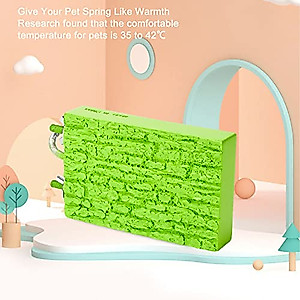 Bird Warmer for Cage, Constant Temp Heated Bird Baths for Outdoors for Winter, Heated Bird Perch Heated Perches for Birds, Bird Perches for Parrots, for Parakeets Small Birds