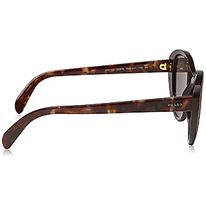 Prada Sunglasses Brown Frame, Brown Lenses, 55MM