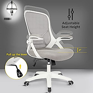 Office Chair Ergonomic Mesh Swivel Computer Task Desk Chair Comfortable, Flip-up Arms, Adjustable Height (Grey)