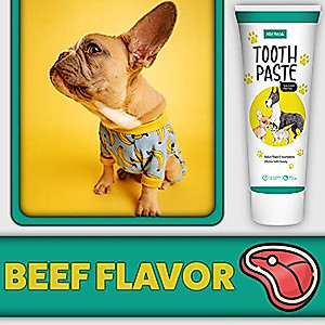 H&H Pets Dog Toothbrushes and Toothpaste Best Professional Cat & Dog Finger Tooth Brush, Dog Brush Set, Perfect for Dogs and Cats, Dog Supplies - Size Small 4 Count 3.5 Oz Toothpaste (100g)